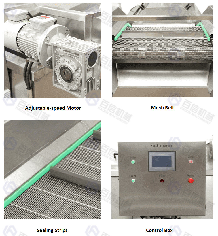 Blanching Machine - Henan Baixin Machinery Equipment Co., Ltd.